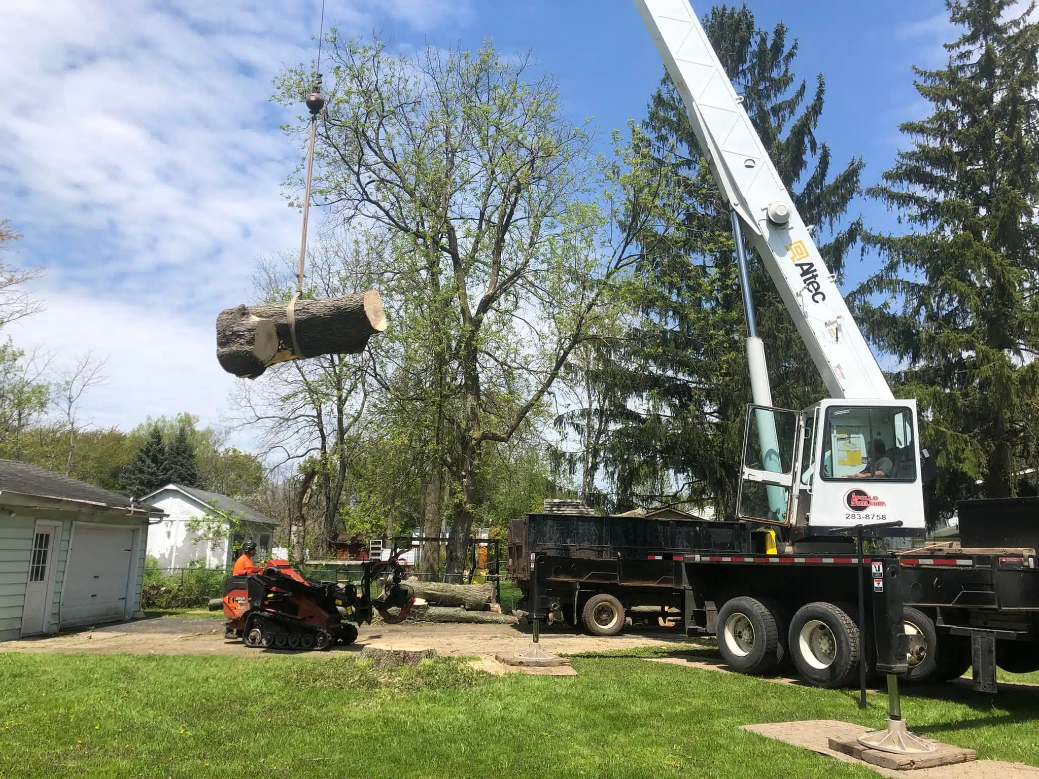 24/7 Emergency Tree Removal & Tree Care Service Buffalo NY | Timber ...